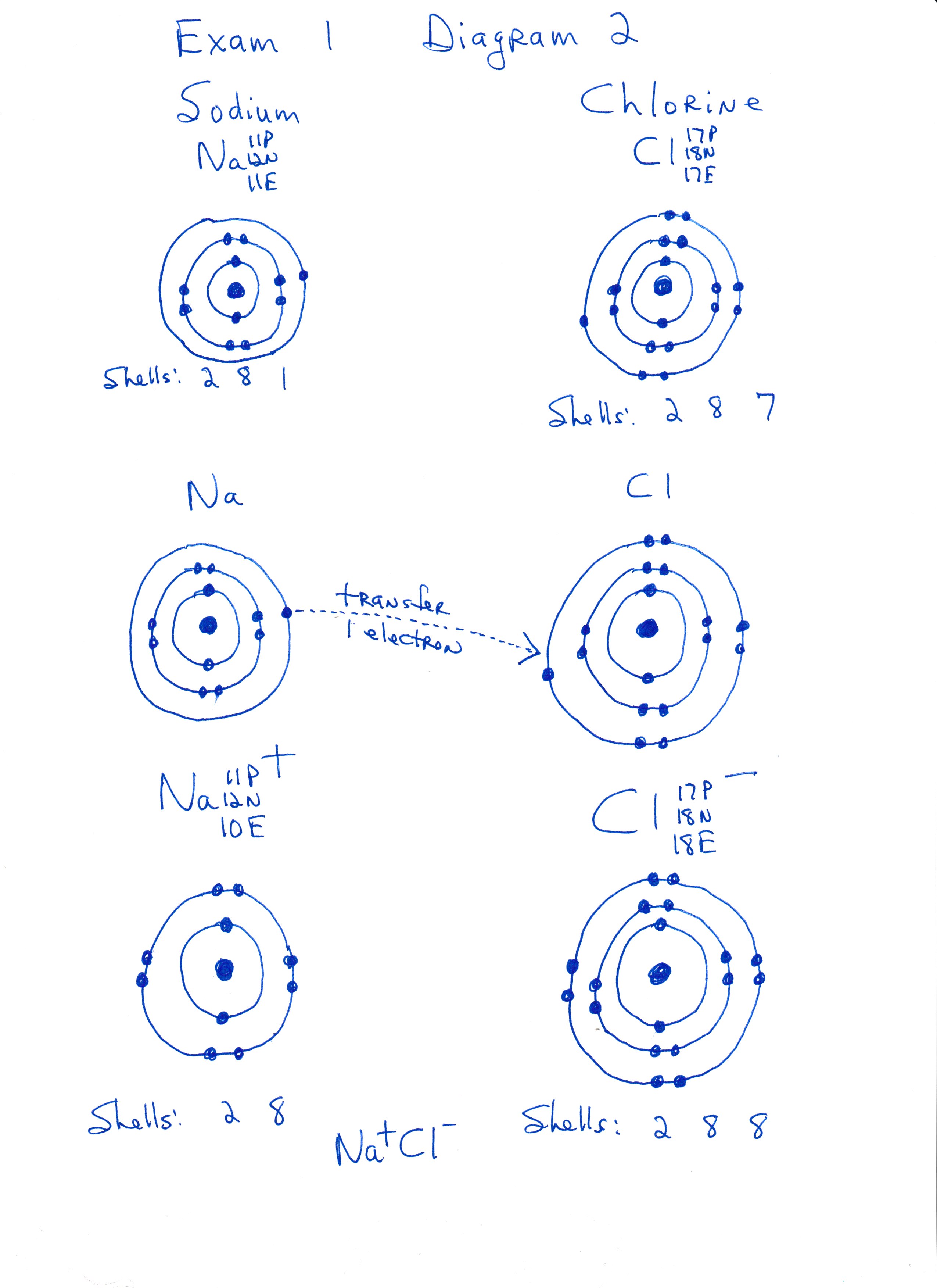 BIOL2320-2H1-HYB-SP25: Exam1Diag2 | TCOnline